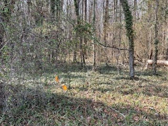 Laurel Park Rd, Essex, VA 22560