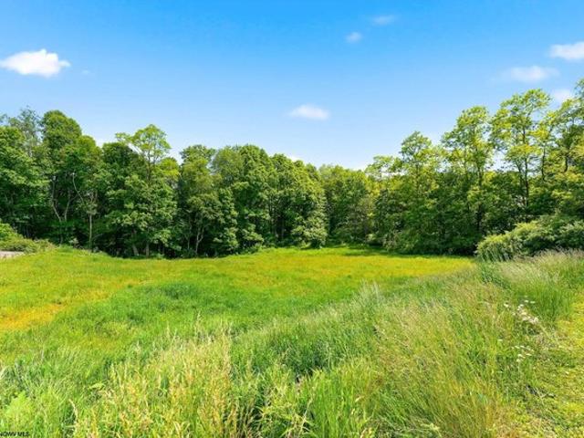 Laurel Run Pisgah Rd Lot 5, Bruceton Mills, WV 26525