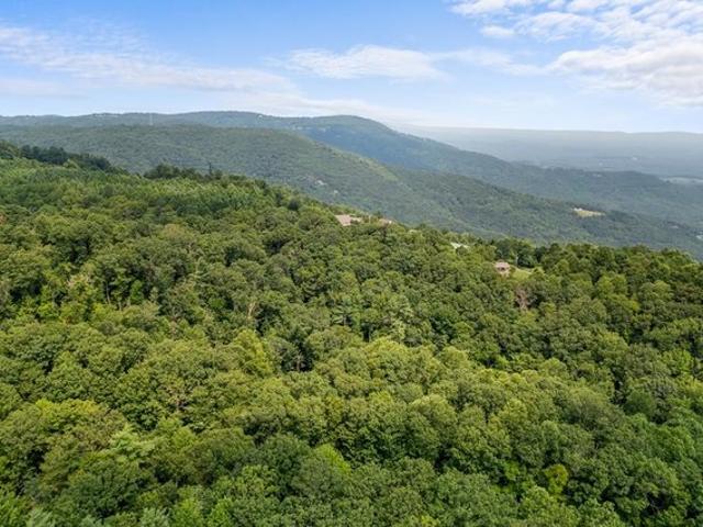 Laurel Way Lot 6, Fancy Gap, VA 24328