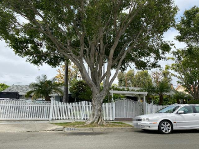 Laurinda Way