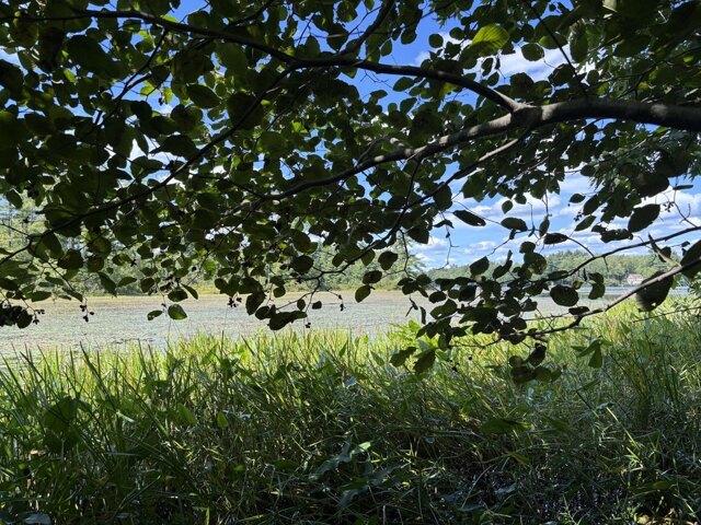 Lavalley Rd, Sanford, Plot For Sale