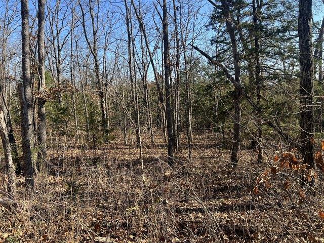 Lavender Rd, Barnett, MO 65011