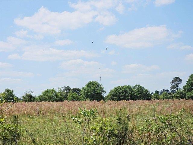 Lavender Rd, Ivey, GA 31031