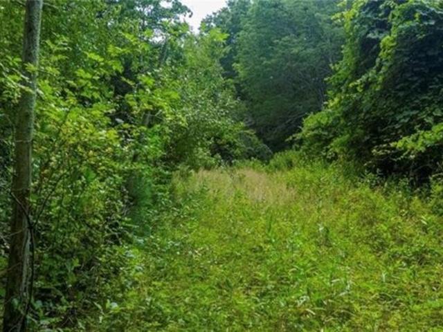 Lawton Foster Rd, Hopkinton, Plot For Sale