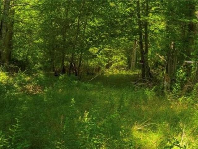 Lawton Foster Rd, Hopkinton, Plot For Sale