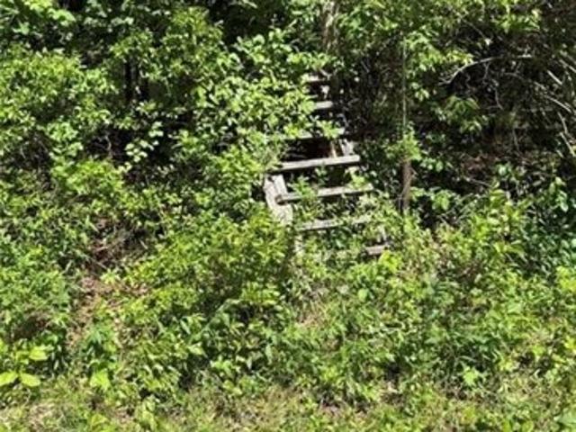 Lawton Foster Rd S, Hopkinton, Plot For Sale