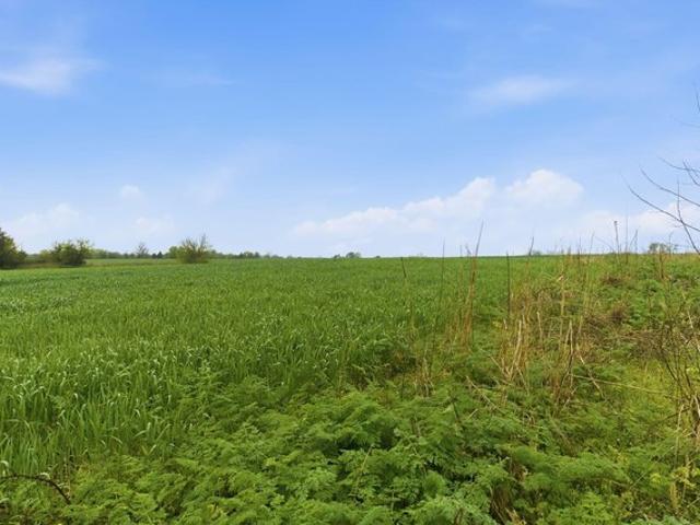 Lawrence 2160 Lot 5, Marionville, MO 65705