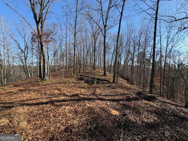 Lawrence Rd, Dawsonville, GA 30534
