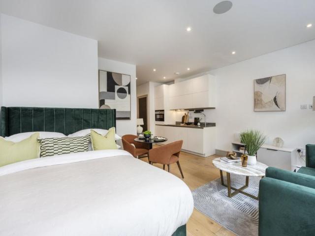 Lawrence Road London N15 Studio to rent £1,600 pcm £369 pw