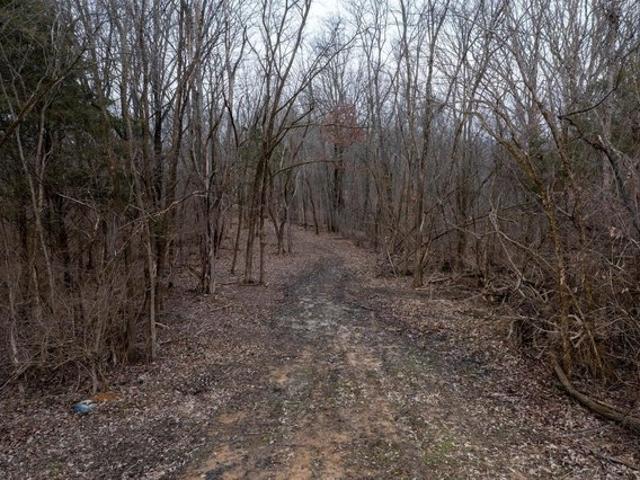 Lawrenceville Rd, Williamstown, KY 41097