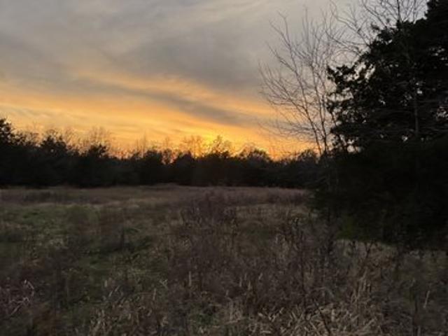 Laws Hill Rd, Lewisburg, TN 37091