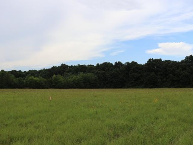 Laws Hill Rd, Lewisburg, TN 37091