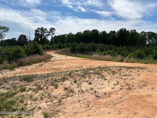 Layton Jones Rd, Mendenhall, MS 39114