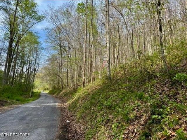 Lay Hollow Rd 020 028.00, Sharps Chapel, TN 37866