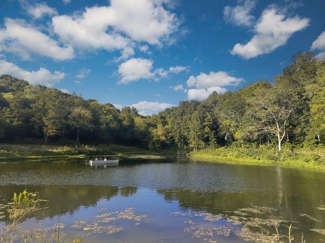 Lazy Branch Rd, Wartrace, TN 37183