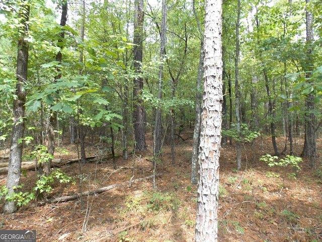 Lbk Rd Unit 32C, Tignall, GA 30668