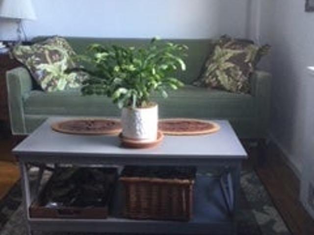 Lg Quiet, Furnished Sunny Rm $1,300 $100 night