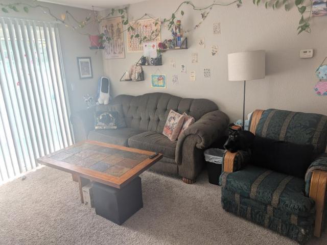 LGBT household seeks new roommate