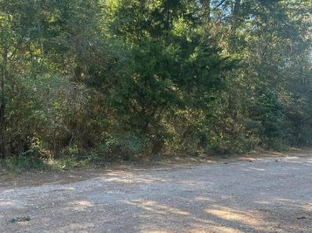 Le Conte Ln, Humble, TX 77338