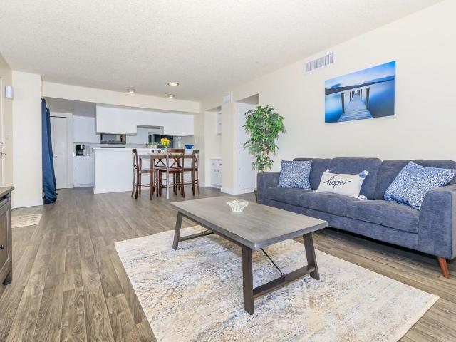 Lemon & Pear Tree Apartments 2 Bedroom Apartment for Rent at 1750 S Alma School Rd, Mesa, AZ 85210 Dobson Ranch
