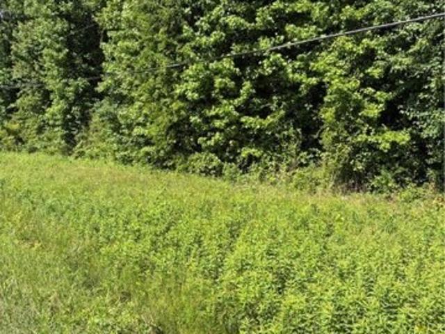 Lemon Springs Rd, Sanford, Plot For Sale