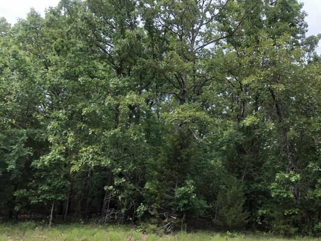 Lenapah Ln, Cherokee Village, AR 72529