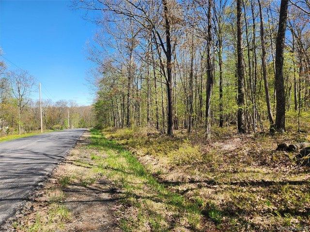 Lenni Lenape Rd Lot 34, Cochecton, NY 12726