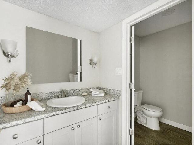 Lenox Cove Studio Apartment for Rent at 8737 Baymeadows Rd, Jacksonville, FL 32256 Deerwood Center