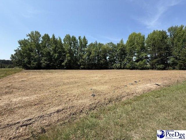 Lenson Mangum Rd Lot B, Pageland, SC 29728