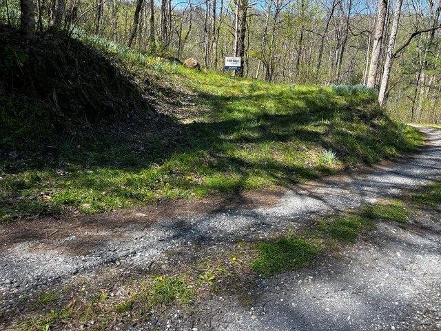 Leon Barron Rd, Sylva, NC 28779