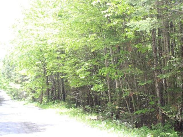 Leonard Hl Lot,concord, Plot For Sale
