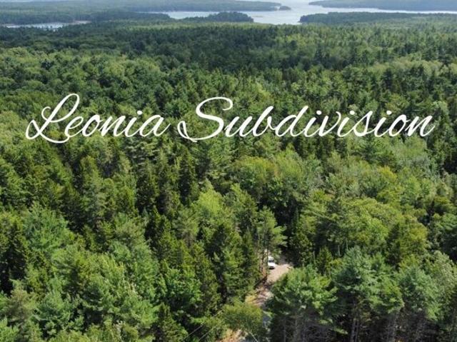 Leonia Rd Lot,hancock, Plot For Sale