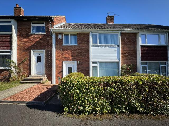 Leazes Rise, Peterlee, County Durham SR8, 3 bed terraced house to rent, £675 pcm | PrimeLocation