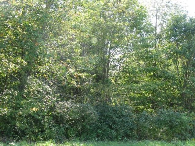 Leacock Rd, Edinboro, PA 16412