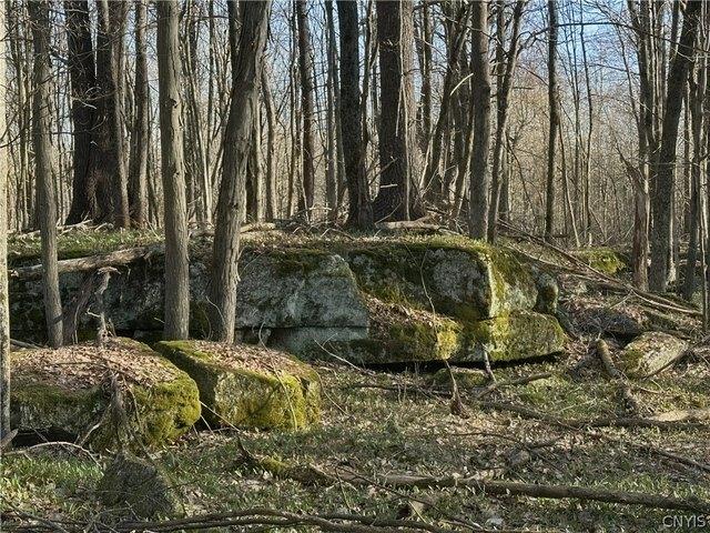 Lead Mine Rd, Redwood, NY 13679