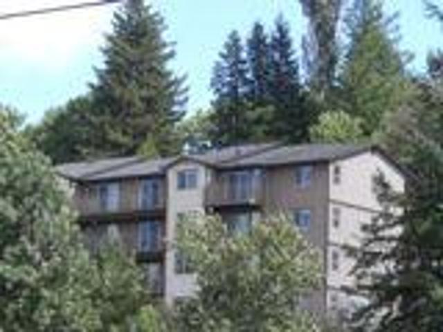 Lease the LAST 2 Bedroom Apartment Grandview Park Pullman