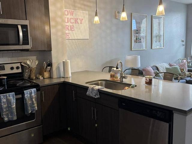 Lease for Spring TENN