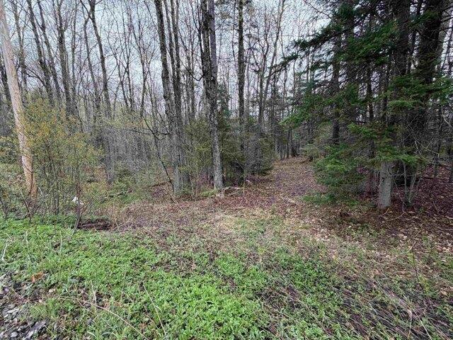 Lebensdorf Ln, Readsboro, Plot For Sale