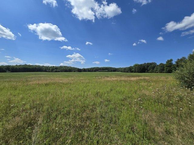 Leckrone Rd, Brethren, MI 49619