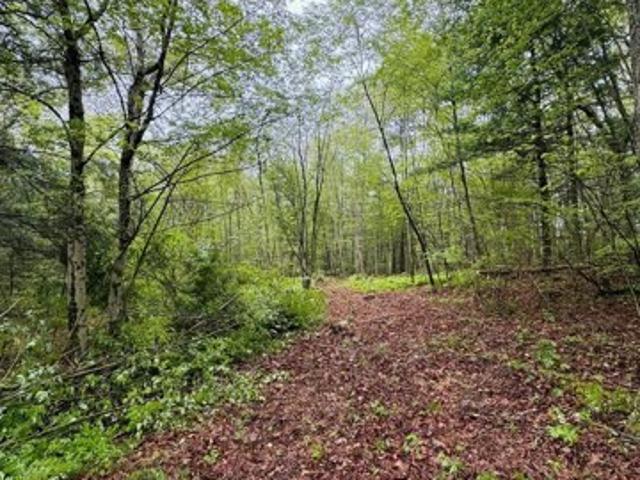 Ledge Hill Rd, Sterling, Plot For Sale