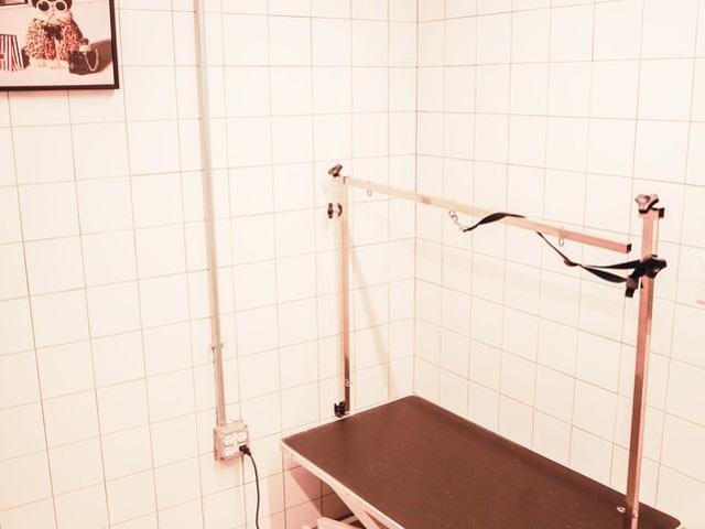 Ledger Union Market 1 Bedroom Apartment for Rent at 1320 4th St Ne, Washington, DC 20002 Trinidad Langston