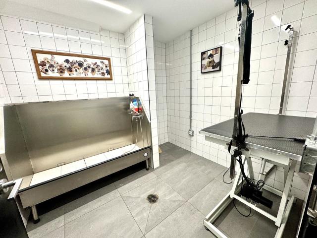 Ledger Union Market 2 Bedroom Apartment for Rent at 1320 4th St Ne, Washington, DC 20002 Trinidad Langston
