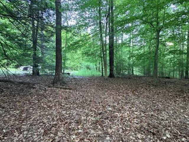 Ledgeview Dr, Fayetteville, WV 25840