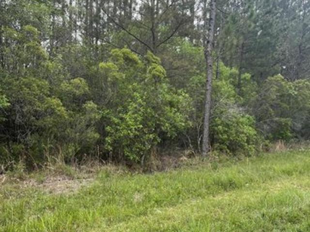 Leetown Rd Lot 2, Picayune, MS 39466
