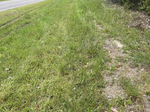 Leetown Rd Lot 3, Picayune, MS 39466