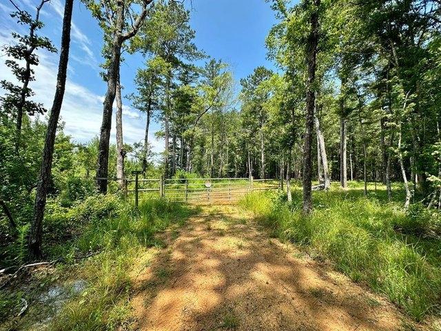 Lee Bass Rd, Pinola, MS 39149