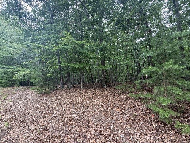Lee Dr Lot 24, Huddleston, VA 24104