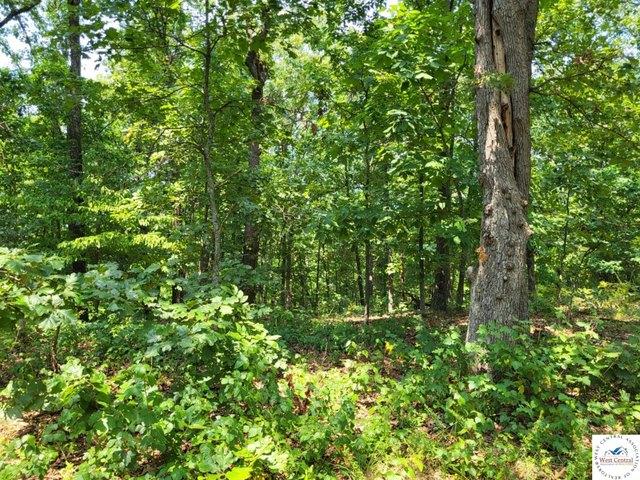 Lee Dr Lot 2020, Edwards, MO 65326