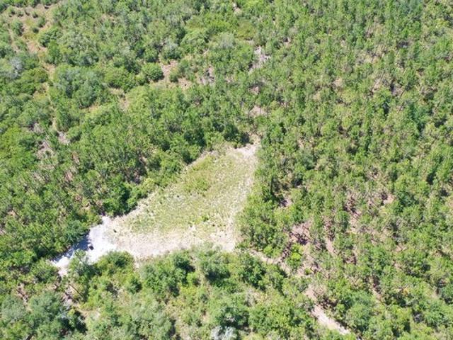 Lee, FL 32059