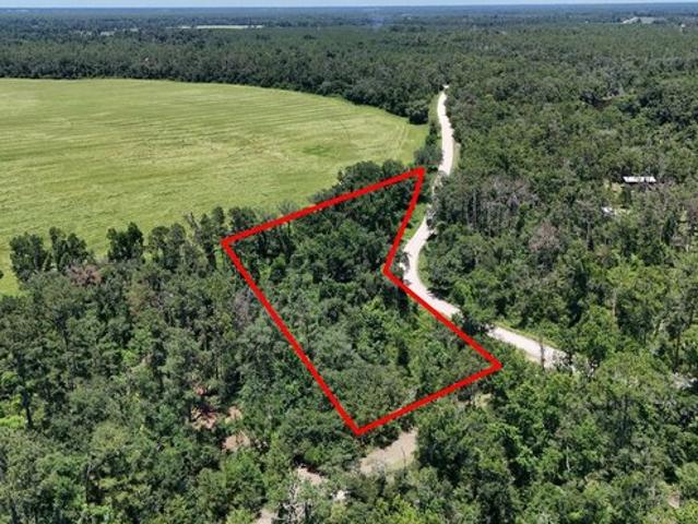 NE Leek Trl, Lee, FL 32059
